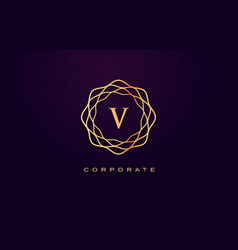 Luxury diamond icon from lines and particle Vector Image