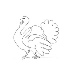 Continuous one line drawing of kangaroo simple Vector Image