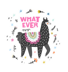 Lama alpaca sticker on wall Royalty Free Vector Image