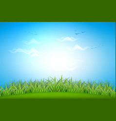 Background blue sky and green glade summer Vector Image