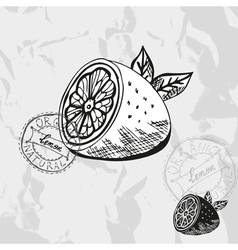 Lemon label Royalty Free Vector Image - VectorStock
