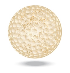 Meatball Royalty Free Vector Image - VectorStock