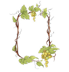 Grape square frame Royalty Free Vector Image - VectorStock
