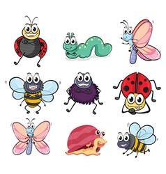 Cute insects bugs creatures bee and ladybug Vector Image