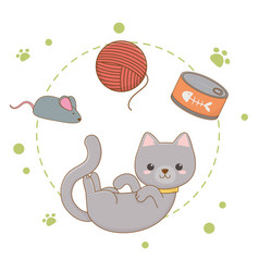 Pet cat dog accessories - bowl collar leash Vector Image