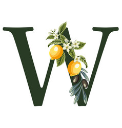 Letter i from alphabet with lemons and olive Vector Image