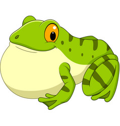 Cartoon cute frog Royalty Free Vector Image - VectorStock