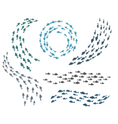 Tropical Fish Set Royalty Free Vector Image - VectorStock