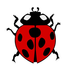 Cartoon ladybug flying Royalty Free Vector Image