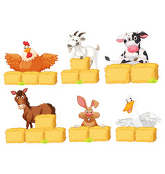 Set wild animals Royalty Free Vector Image - VectorStock