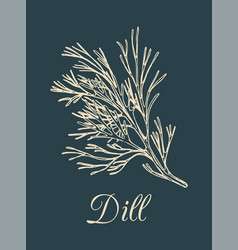 Dill plant set Royalty Free Vector Image - VectorStock