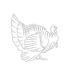 Wild turkey done in retro style Royalty Free Vector Image