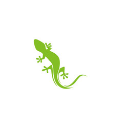 Cartoon lizard flashcard for children Royalty Free Vector