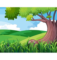 Cartoon of a big tree at the forest Royalty Free Vector