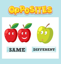 Opposite adjectives with same and different Vector Image