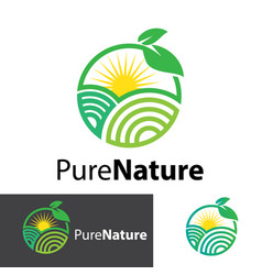 Tiger Royalty Free Vector Image - VectorStock