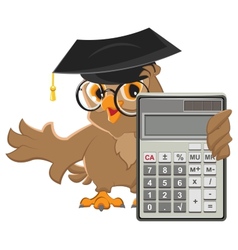 Owl teacher showing abacus Royalty Free Vector Image