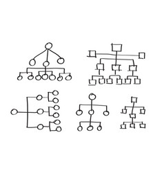 Organization chart tree company corporate Vector Image