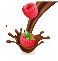 Chocolate with milk tasty twist Royalty Free Vector Image