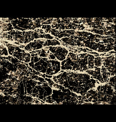 Crack texture scratch distress marble pattern old Vector Image