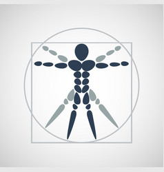 The Vitruvian man Royalty Free Vector Image - VectorStock