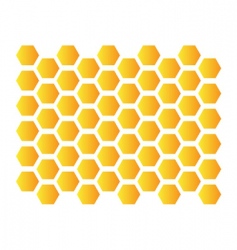 Honey comb cells seamless pattern Royalty Free Vector Image