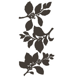Mate 1 branch shape Royalty Free Vector Image - VectorStock