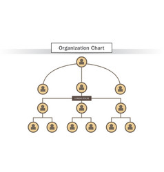 Organizational chart corporate business hierarchy Vector Image