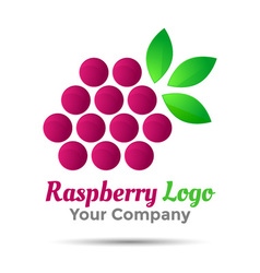 Raspberry Royalty Free Vector Image - VectorStock