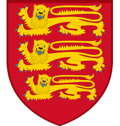 Coat arms lincoln in lincolnshire england Vector Image