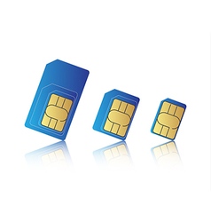 Canary islands mobile phone sim card with flag Vector Image