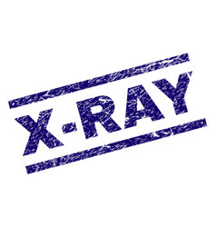 X-ray font transparent roentgen alphabet Vector Image