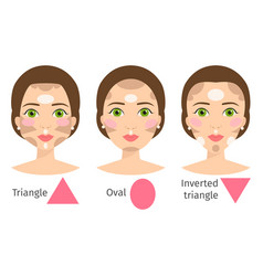 Set of different woman face types Royalty Free Vector Image