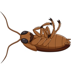 Cockroach Royalty Free Vector Image - VectorStock