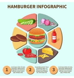 Burger infographics structure of hamburger Vector Image
