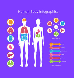 Medical infographic hud ui concept of body scan Vector Image