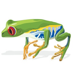Green frog Royalty Free Vector Image - VectorStock
