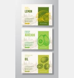 Fresh local fruits label template abstract Vector Image