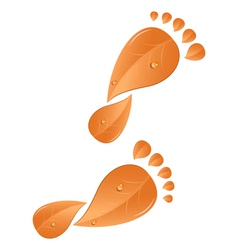 Foot Royalty Free Vector Image - VectorStock