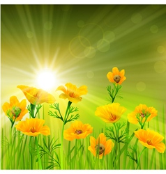 Spring background Royalty Free Vector Image - VectorStock