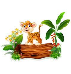 Frame Royalty Free Vector Image - VectorStock