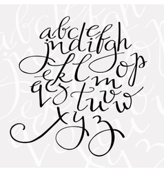 Calligraphy lettering script font s set hand Vector Image