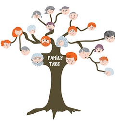 Cartoon family tree infographics concept card Vector Image