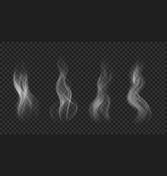 Hot food steam on transparent background Vector Image