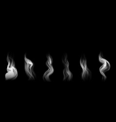 Hot food steam on transparent background Vector Image