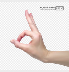 Hand showing okay Royalty Free Vector Image - VectorStock