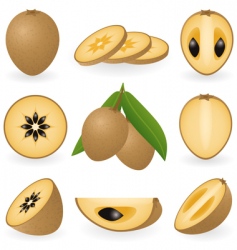 Pineapple Royalty Free Vector Image - VectorStock