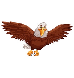 Bald eagle bird set poses Royalty Free Vector Image
