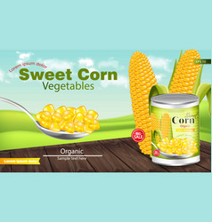 Sweet corn poster label sticker template Vector Image
