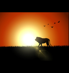 Silhouette wolf in hill at night Royalty Free Vector Image